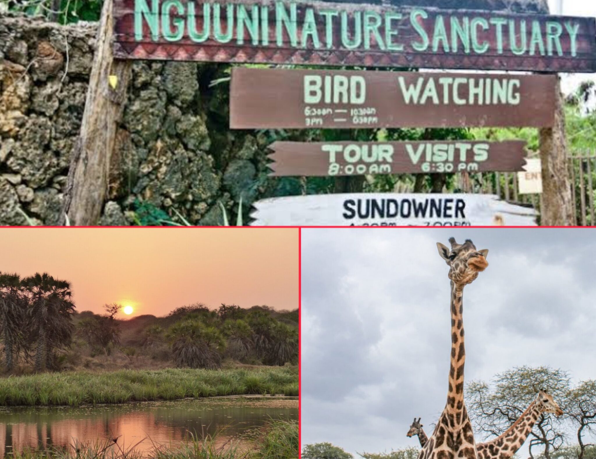 Nguuni Nature Sanctuary Entrance Fee, Location and Contacts - Kenyan ...