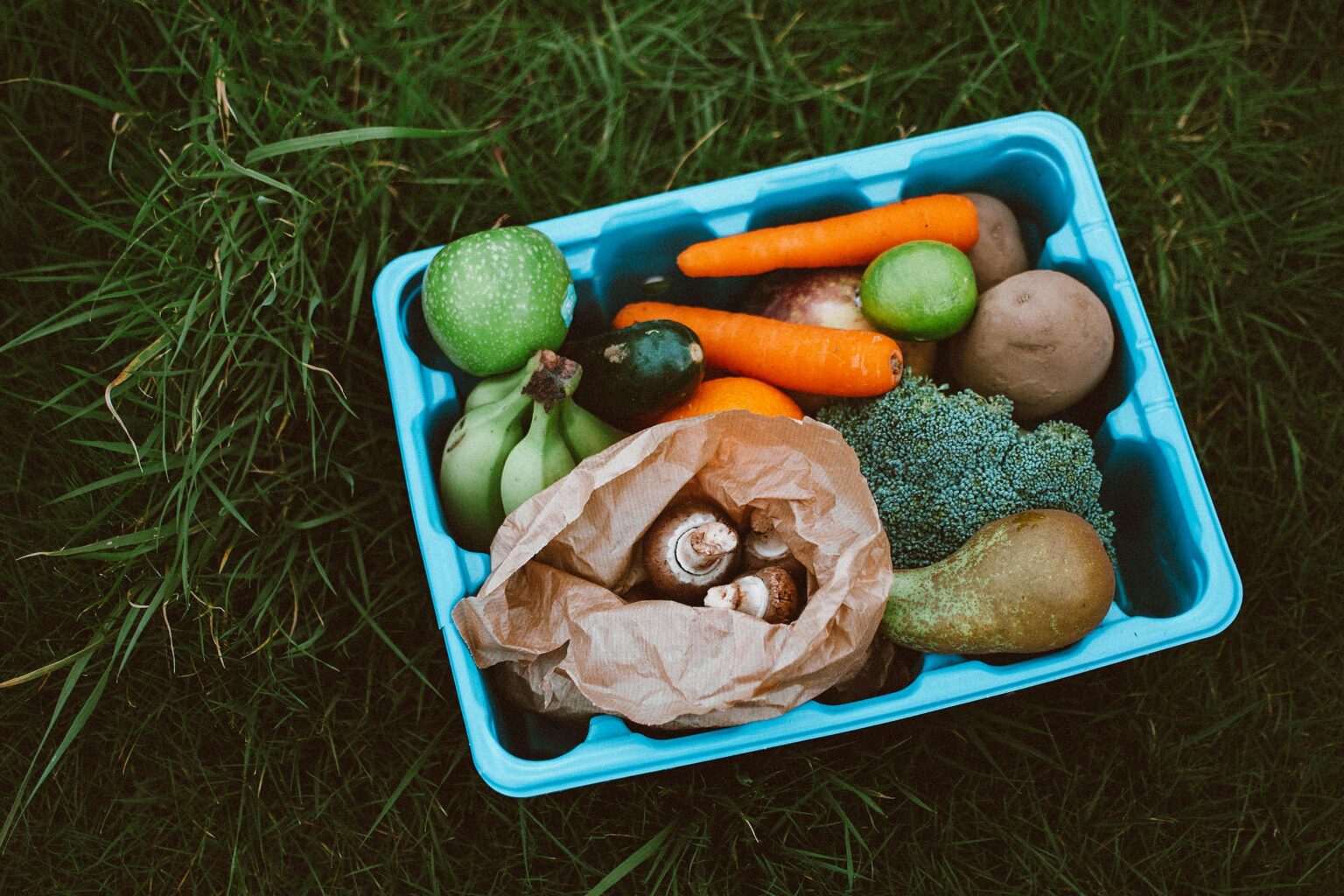 List of Best Fresh Produce Exporters in Kenya [Licensed] (PDF Download ...